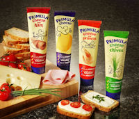 Primula begins new Christmas campaign | Talking Retail